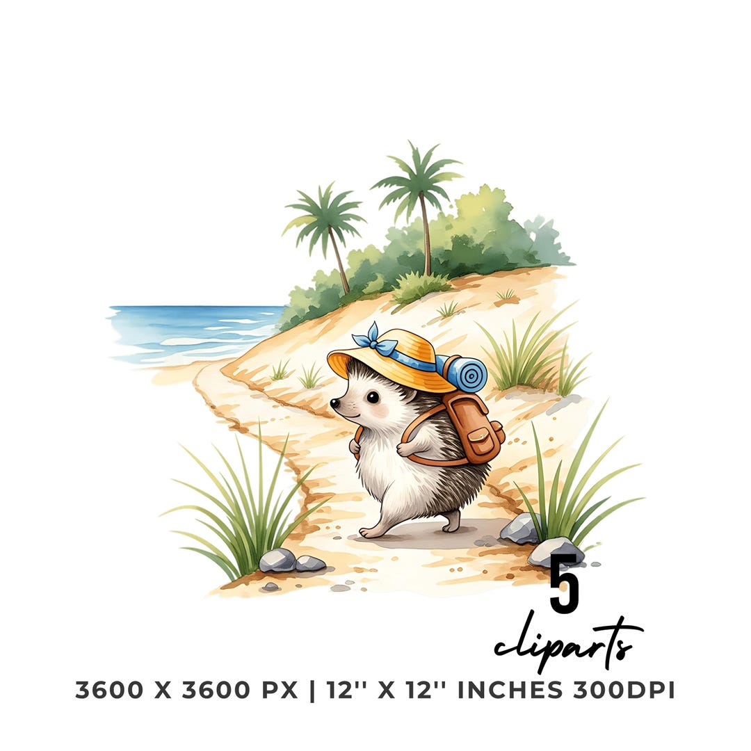 Hedgehog Clipart PNG | 5 Watercolor Hedgehog Walking | Summer Hedgehog ...