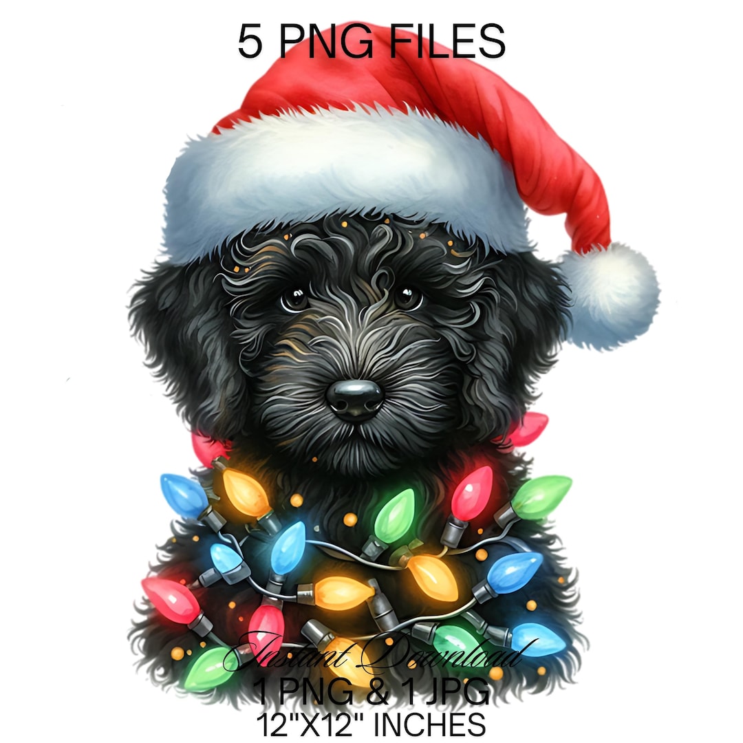 Christmas Golden Doodle Puppy PNG Clipart | 4 Christmas Lights Santa ...