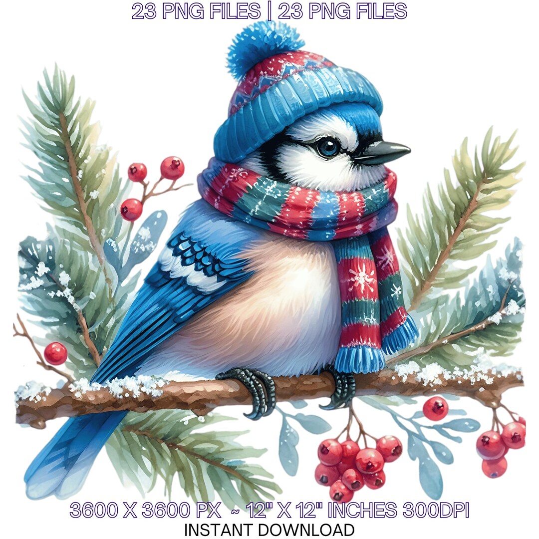 23 Christmas Blue Jay Birds Clipart PNG, Watercolor Papercraft, Junk Journal Scrapbooking, Card ...