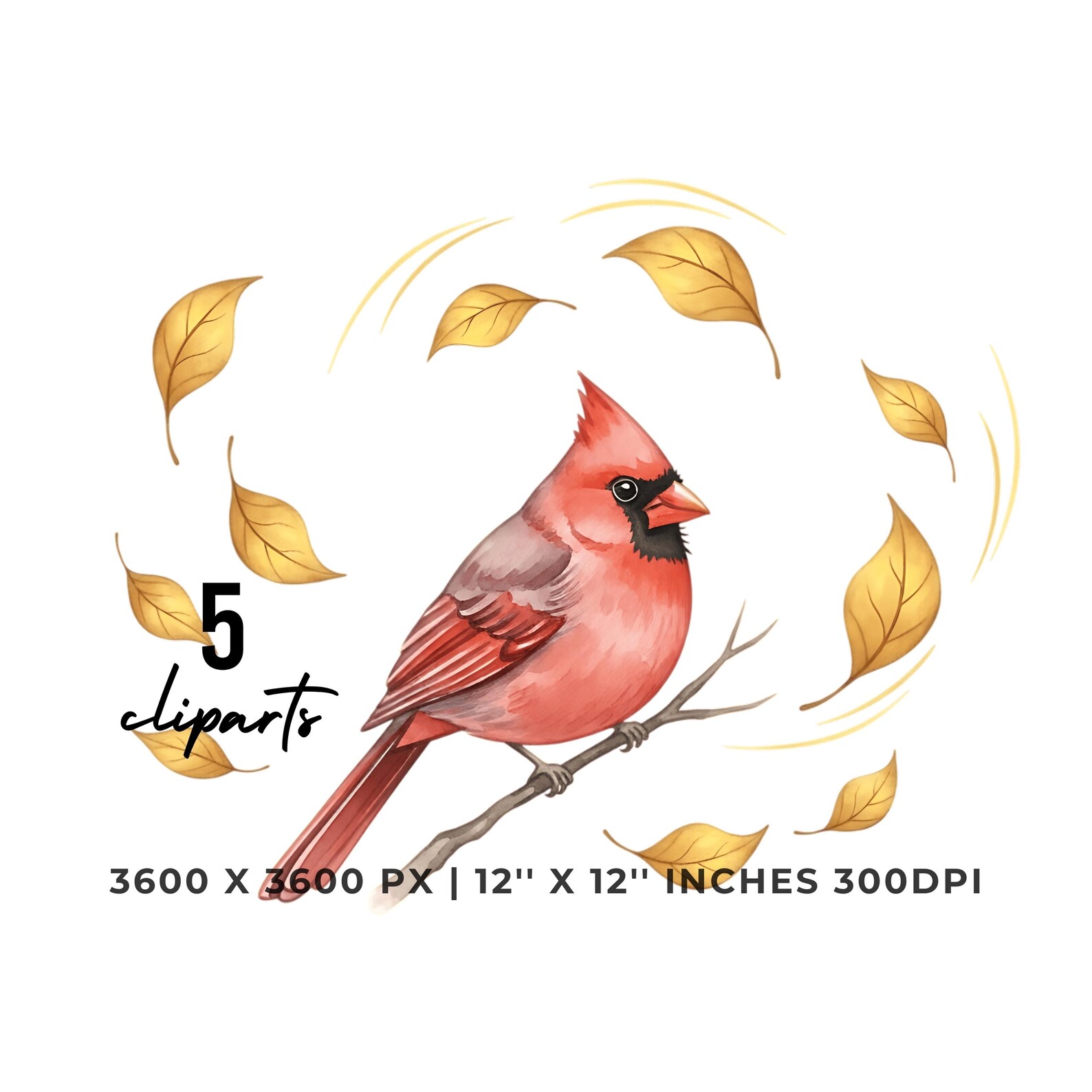 Cardinal Bird Clipart: Fall Leaves Swirl, Autumn Illustration (PNG ...