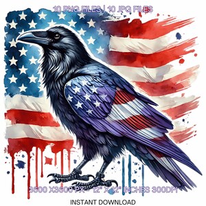 RAVEN Flag PNG | 10 Patriotic USA Crow Flag Clipart | Bird Raven ...