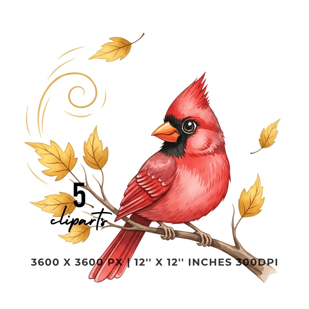 Cardinal Bird Clipart: Fall Leaves Swirl, Autumn Illustration (PNG ...