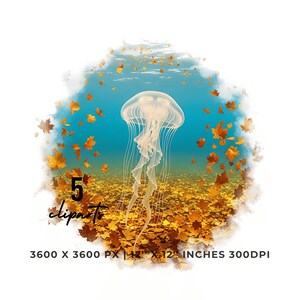 Autumn Jellyfish Clipart: Fall Ocean PNG JPG Art (digital Download ...
