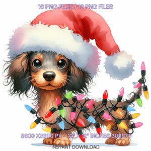 16 Cute Dachshund Puppy Dog With Santa Hat and Christmas Lights Clip ...