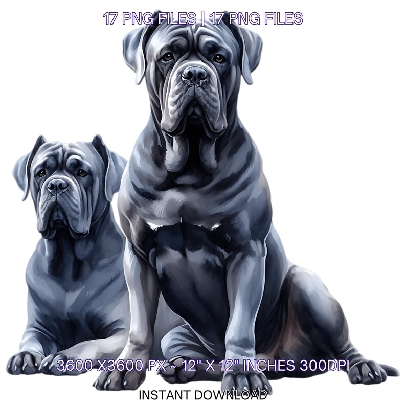 Cane Corso Dog Watercolor Clipart: Pet Portrait PNG (digital Download ...
