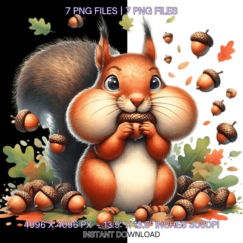 Funny Squirrel Graduation - Etsy