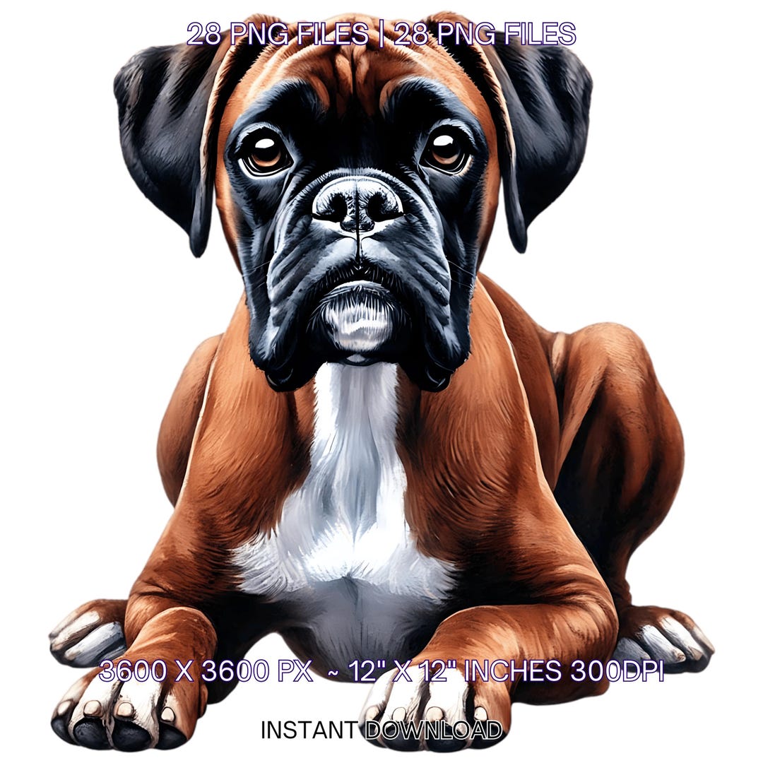 Boxer Dog Clipart Bundle | 28 PNG 28 JPG Watercolor Boxer | Dog Clip ...