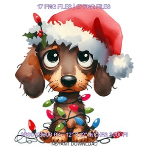16 Cute Dachshund Puppy Dog With Santa Hat and Christmas Lights Clip ...