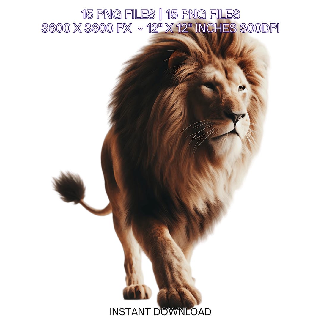 Watercolor Lion PNG Clipart: Wild Animal Graphics (digital Download ...