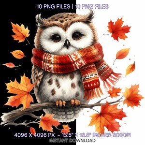 10 Cute Fall Owl Clipart PNG Owl Fall Clipart Autumn Owl Bird Clipart ...