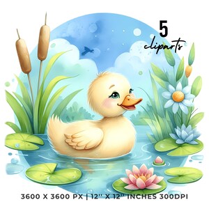 Duck Paddling Clipart PNG | 5 Watercolor Cheerful Duck Paddling in a ...