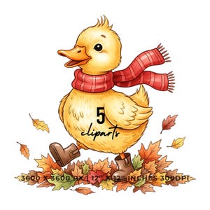 Autumn Duck Clipart PNG | Fall Duckling in Leaves | Cute Scarf Duck Art ...