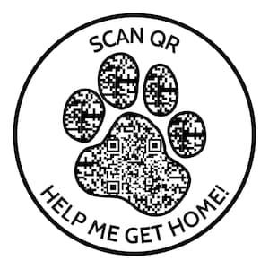 Pet QR Code Paw Dog Tags Canva Template / 3 Option Dog ID Tag / Custom ...
