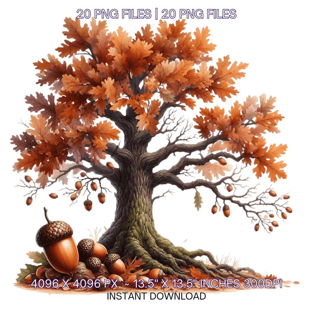 20 Acorns Clipart Bundle | Watercolor Oak Leaf | Fall Leaves | Autumn ...
