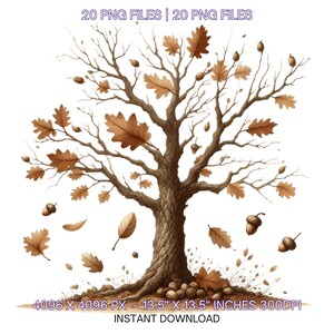 20 Acorns Clipart Bundle | Watercolor Oak Leaf | Fall Leaves | Autumn ...