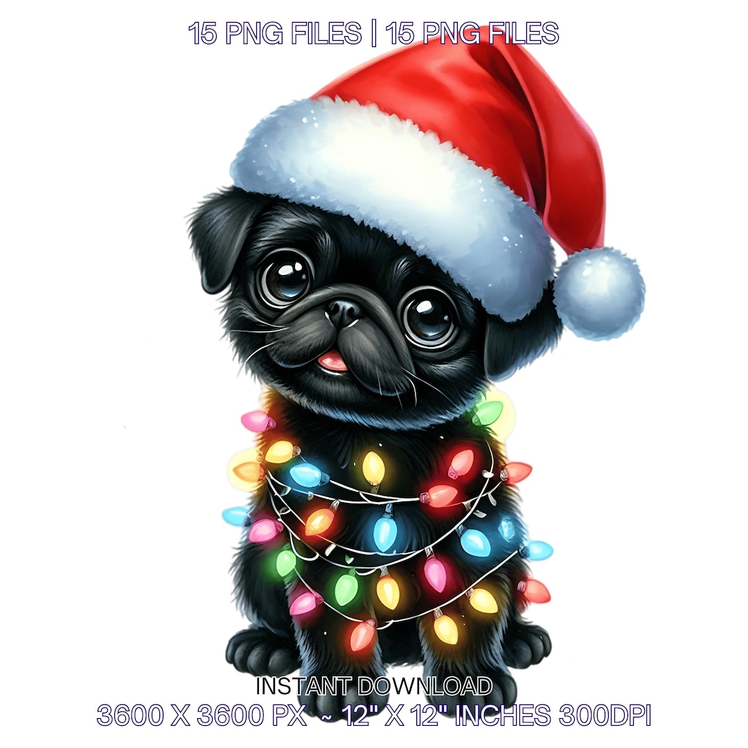 15 Black Puppy Pug With Christmas Lights and Gifts Clipart PNG ...