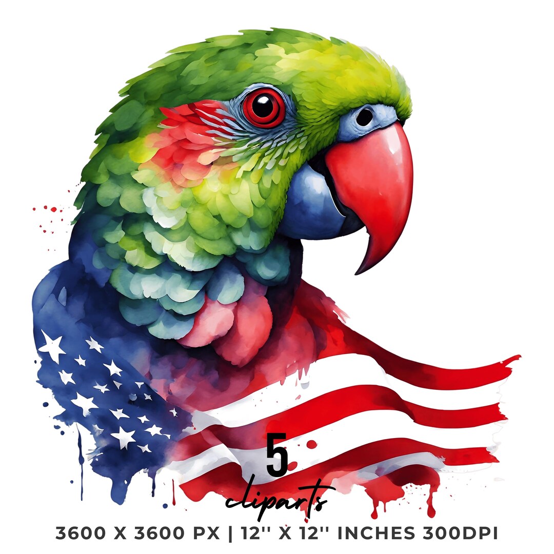 Watercolor PARROT Flag PNG | 5 Patriotic USA Parrot Flag Clipart ...