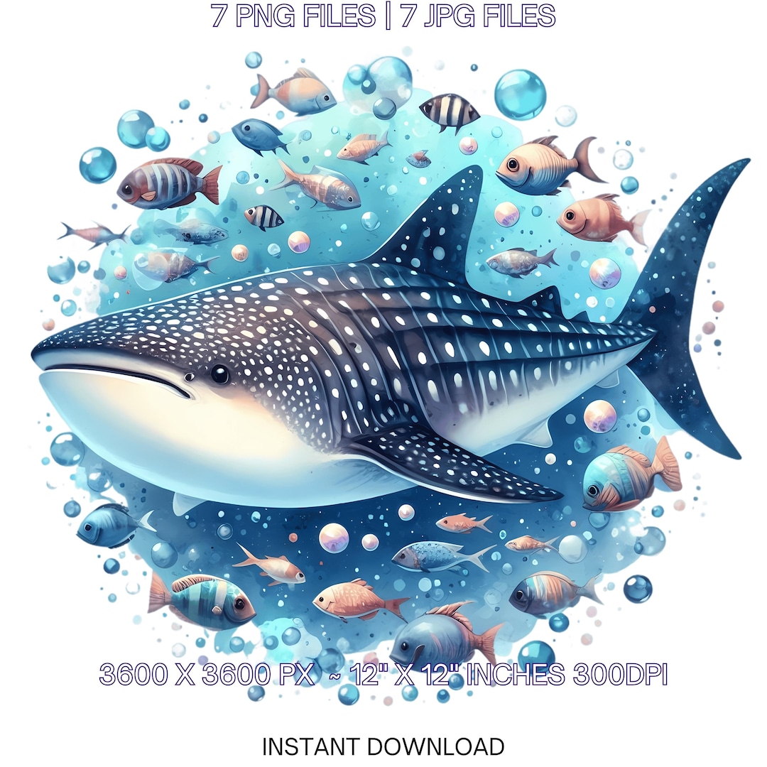 Watercolor Whale Shark Clipart: Swimming With Fish (PNG & JPG) - Etsy