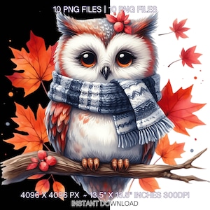 10 Cute Fall Owl Clipart PNG Owl Fall Clipart Autumn Owl Bird Clipart ...