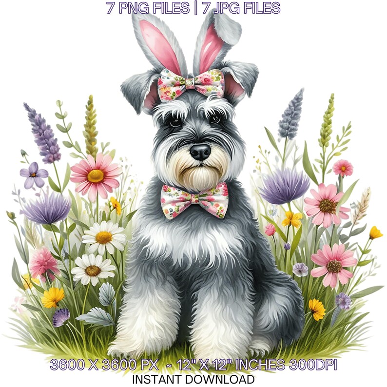 Easter Schnauzer Dog Wearing Floral Bow & Bunny Ear Handband Ready for ...