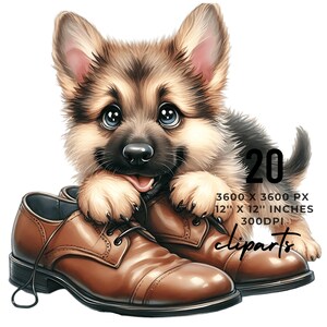 20 Cute Funny Dog Chewing Shoe Clipart PNG Dog Destroying Shoes Clipart ...