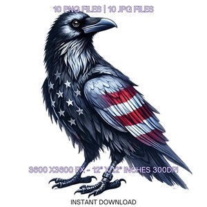 RAVEN Flag PNG | 10 Patriotic USA Crow Flag Clipart | Bird Raven ...