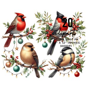 19 Trio Christmas Birds Clipart PNG, Printable Watercolor Papercraft ...