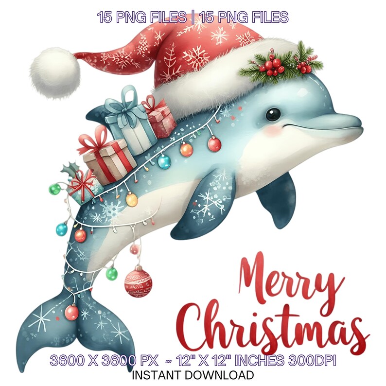 Christmas Dolphin PNG Clipart: Santa Ocean Animals (digital Download ...