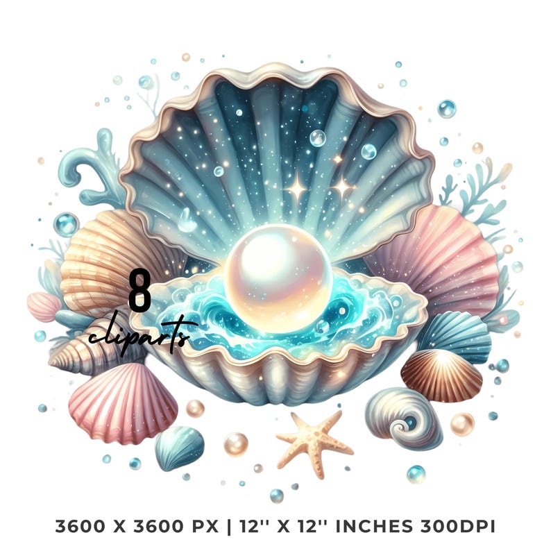 Open Clam Shell Clipart PNG | 8 Watercolor Open Clam Shell With Pearl ...