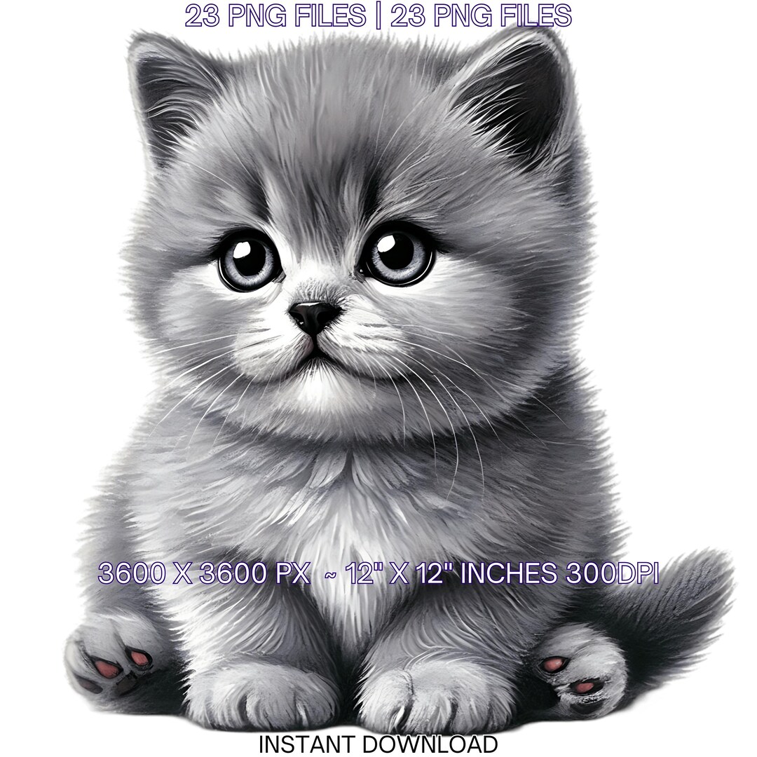 23 British Shorthair Kitten PNG Clipart, Watercolor Pet Card Making ...