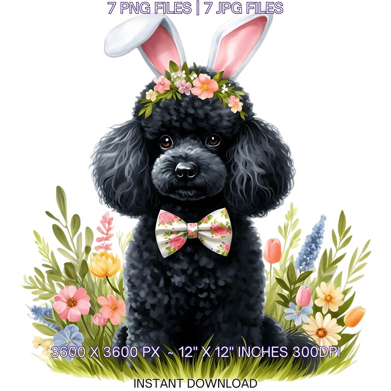 Easter Black Poodle Dog Wearing Floral Bow & Bunny Ear Handband Ready ...