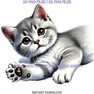 23 British Shorthair Kitten PNG Clipart, Watercolor Pet Card Making ...