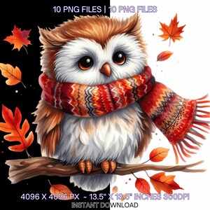 10 Cute Fall Owl Clipart PNG Owl Fall Clipart Autumn Owl Bird Clipart ...
