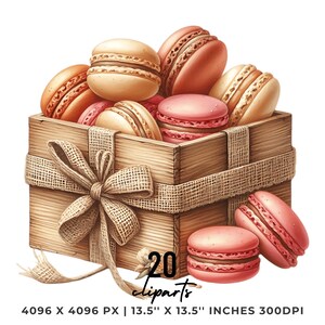 20 Macaron Clipart Bundle | Macaroon Cookies High-quality PNG ...