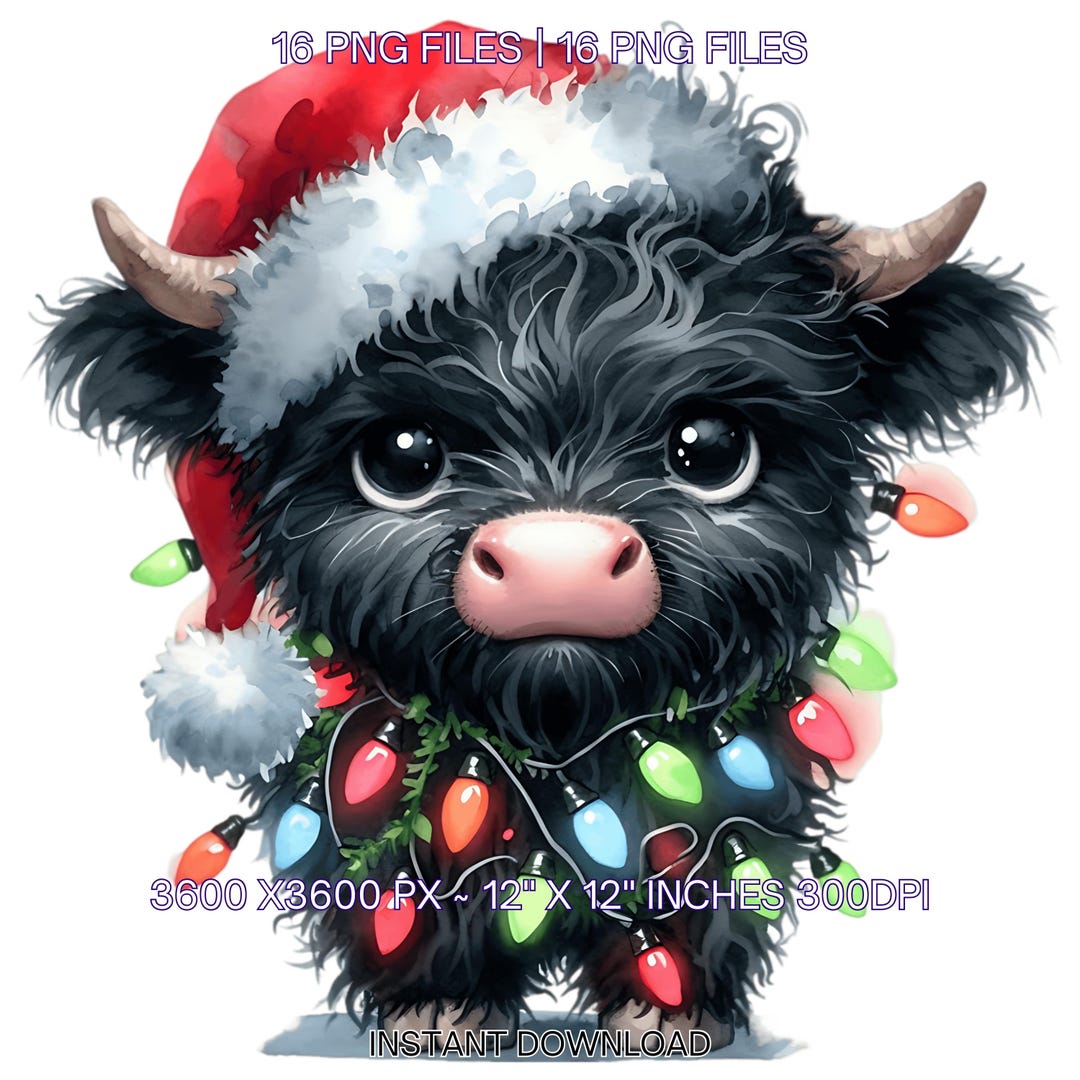 16 Cute BLACK ANGUS COW With Santa Hat, and Christmas Lights Clip Art ...