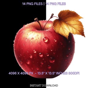 Fall Apple Tree Clipart | PNG Apple Orchard Illustrations ( ) - Etsy