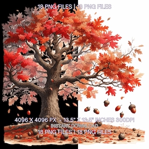 18 Fall Tree Leaves PNG | Oak Tree Leaves Acorns Clipart Bundle ...