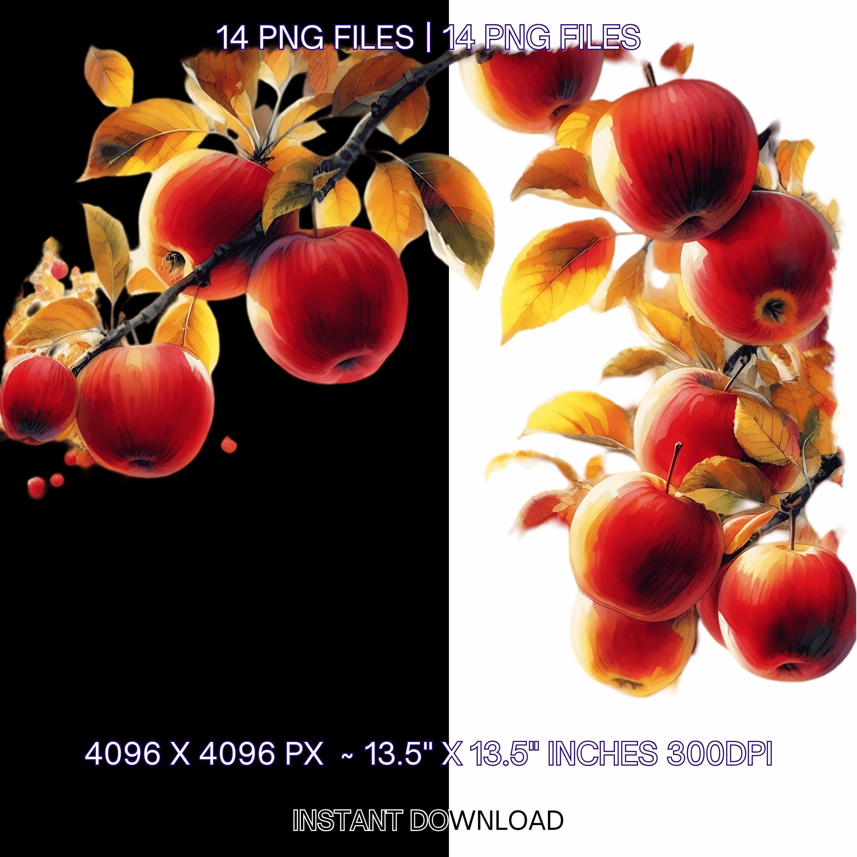Fall Apple Tree Clipart | PNG Apple Orchard Illustrations ( ) - Etsy