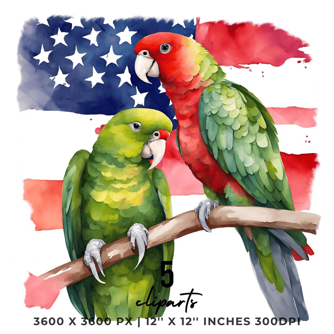 PARROT Flag PNG | 5 Patriotic USA Parrot Flag Clipart | Watercolor ...