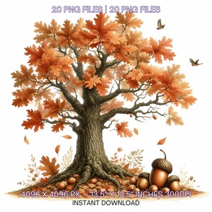 20 Acorns Clipart Bundle | Watercolor Oak Leaf | Fall Leaves | Autumn ...