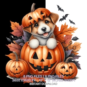 8 Dog in a Pumpkin Clipart PNG | Cute Halloween Dog Clip Art | Dog ...