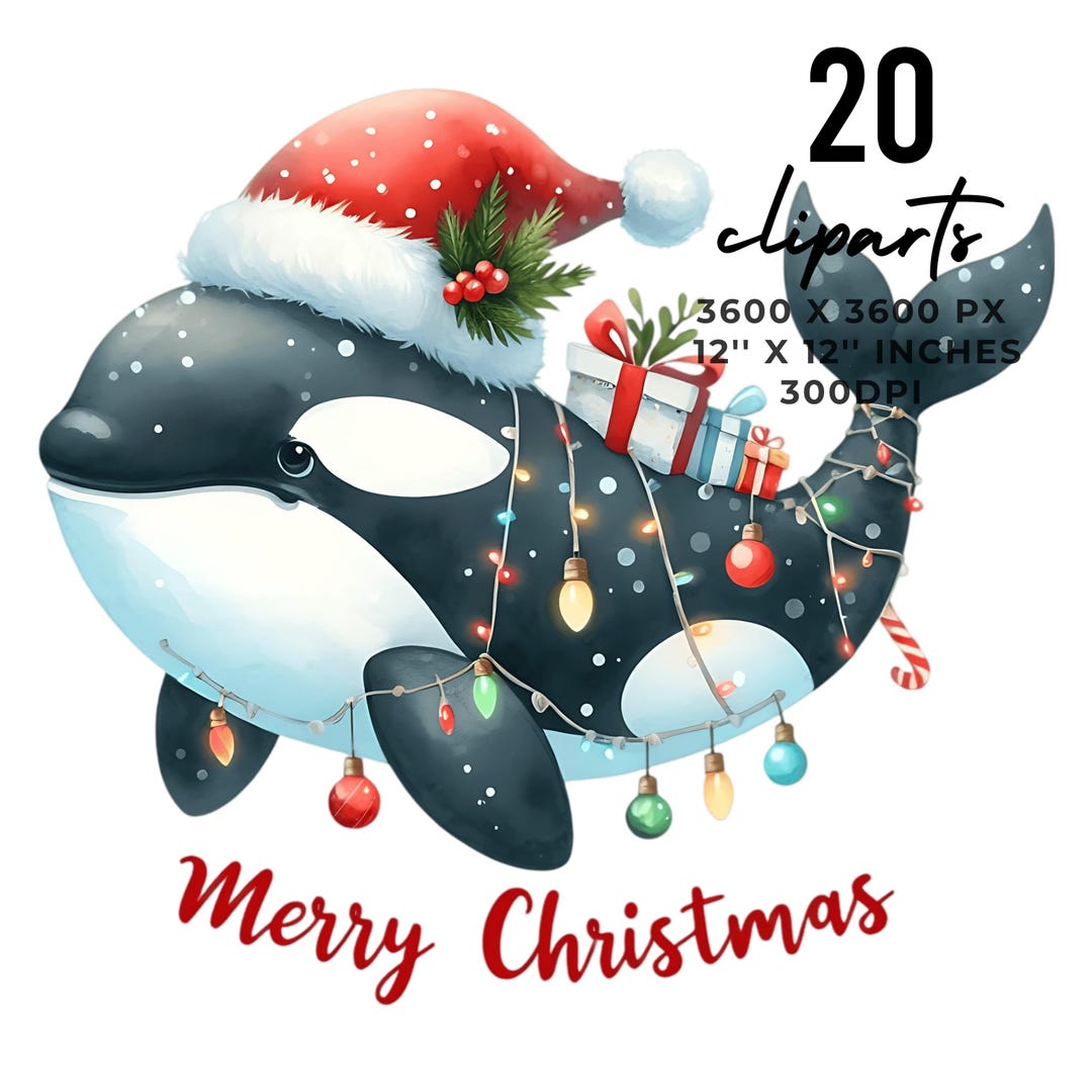 20 Whale Orca PNG Clipart | Christmas Whale | Ocean Sea Animals | Santa ...