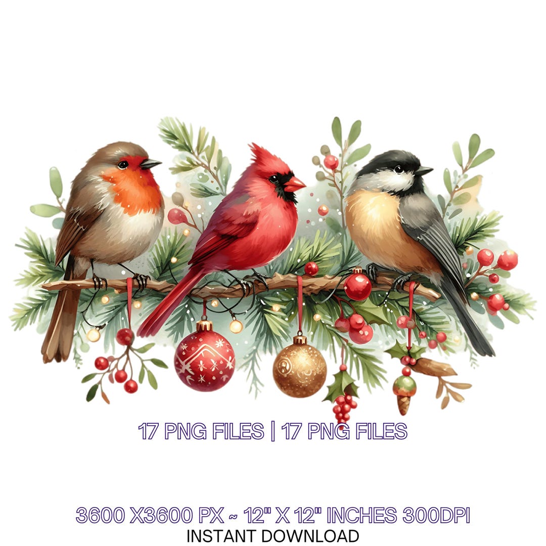 17 Trio Christmas Birds Clipart PNG, Printable Watercolor Papercraft ...