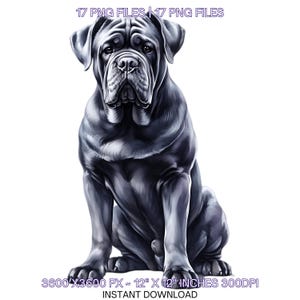 17 Cane Corso Dog for Pet Portrait PNG Clipart | Watercolor Black Cane ...