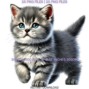 23 British Shorthair Kitten PNG Clipart, Watercolor Pet Card Making ...