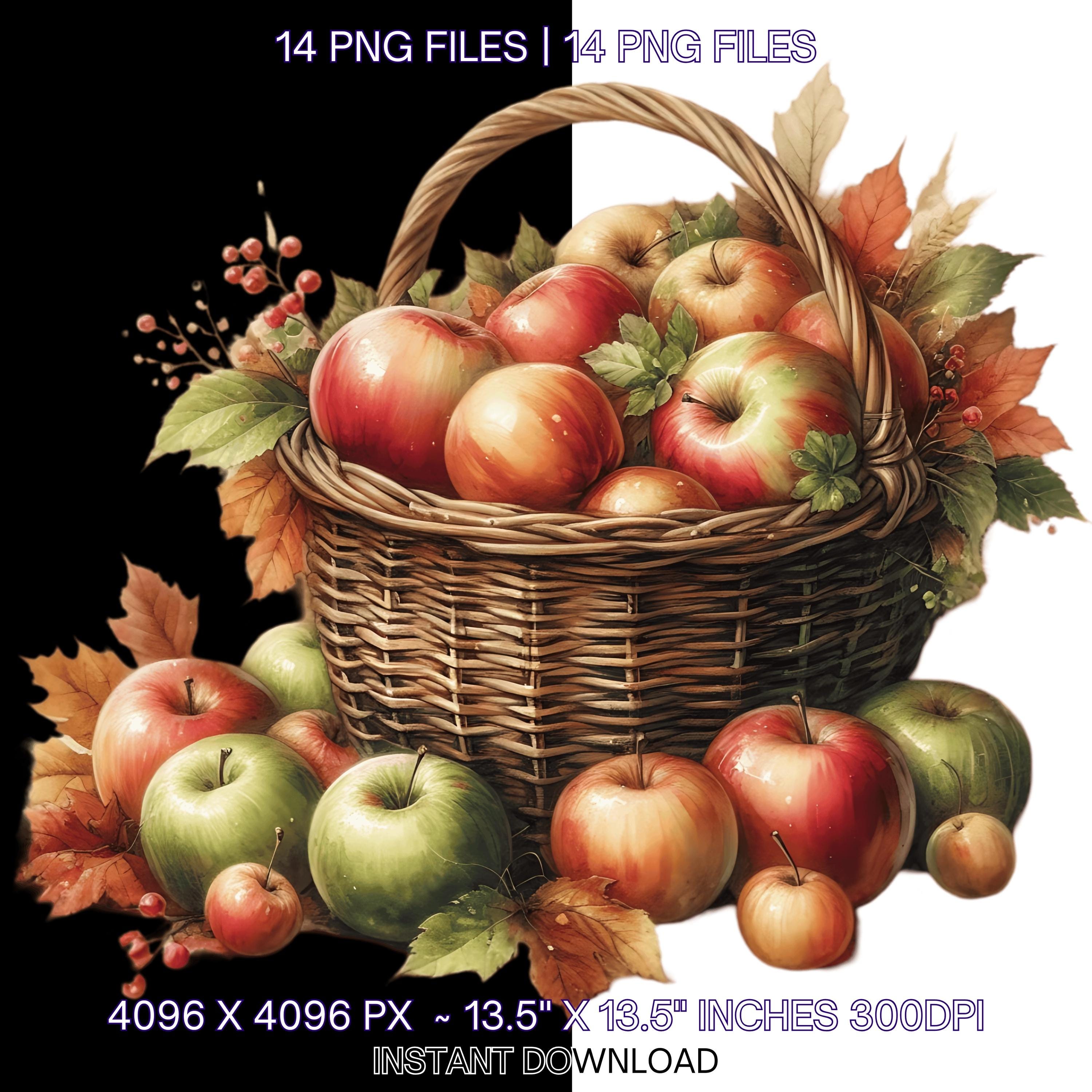 Fall Apple Tree Clipart | PNG Apple Orchard Illustrations - Etsy