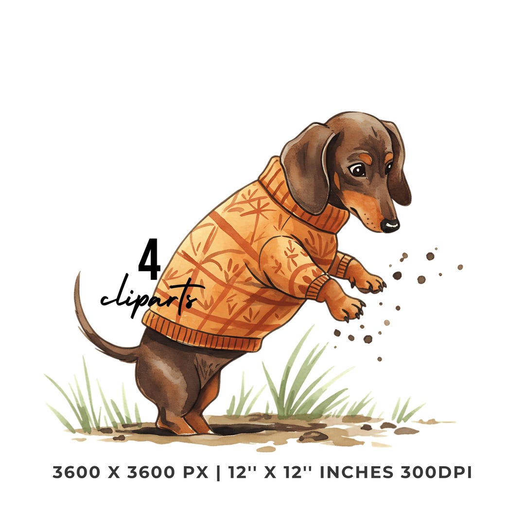 Dachshund Clipart PNG: Watercolor Dog Digging ( , Digital Download) - Etsy
