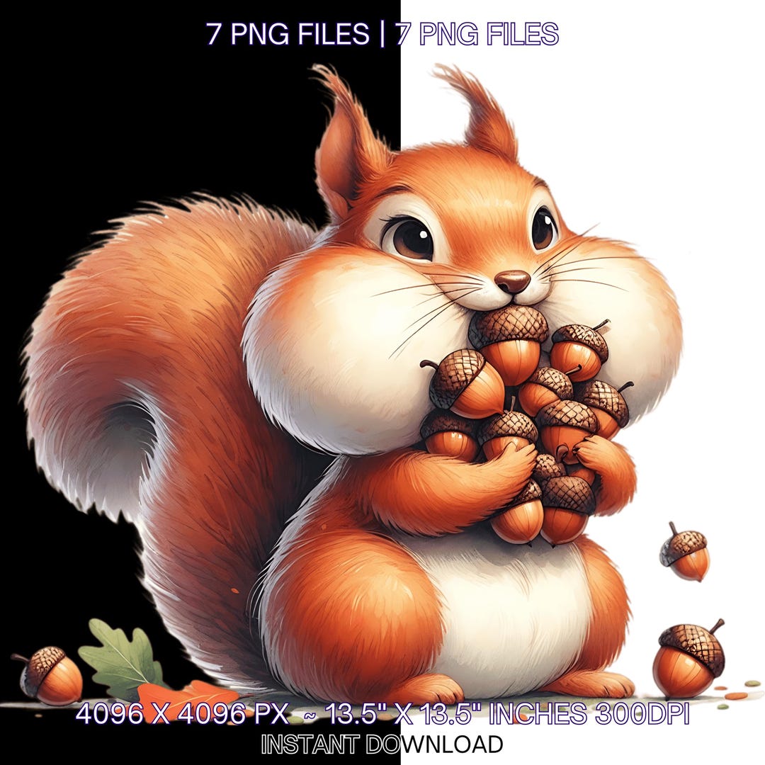 7 Squirrel Eating Acorn Clipart | Cute Squirrel Clipart | Funny Hungry ...