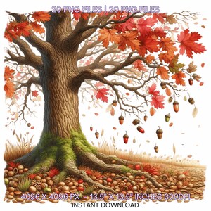 20 Acorns Clipart Bundle | Watercolor Oak Leaf | Fall Leaves | Autumn ...