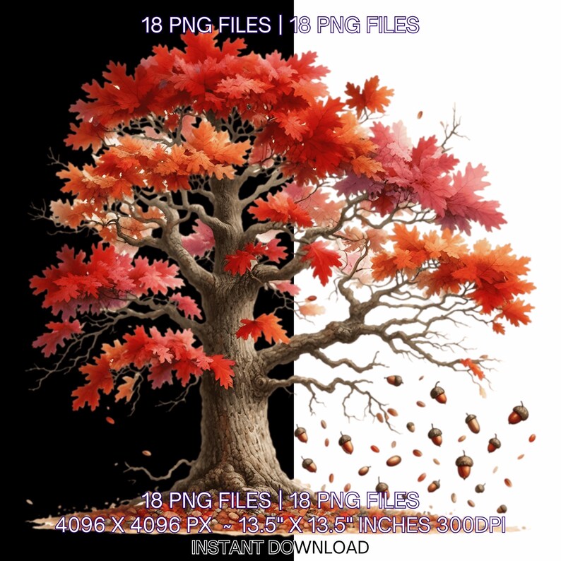 18 Fall Tree Leaves PNG Oak Tree Leaves Acorns Clipart Bundle ...